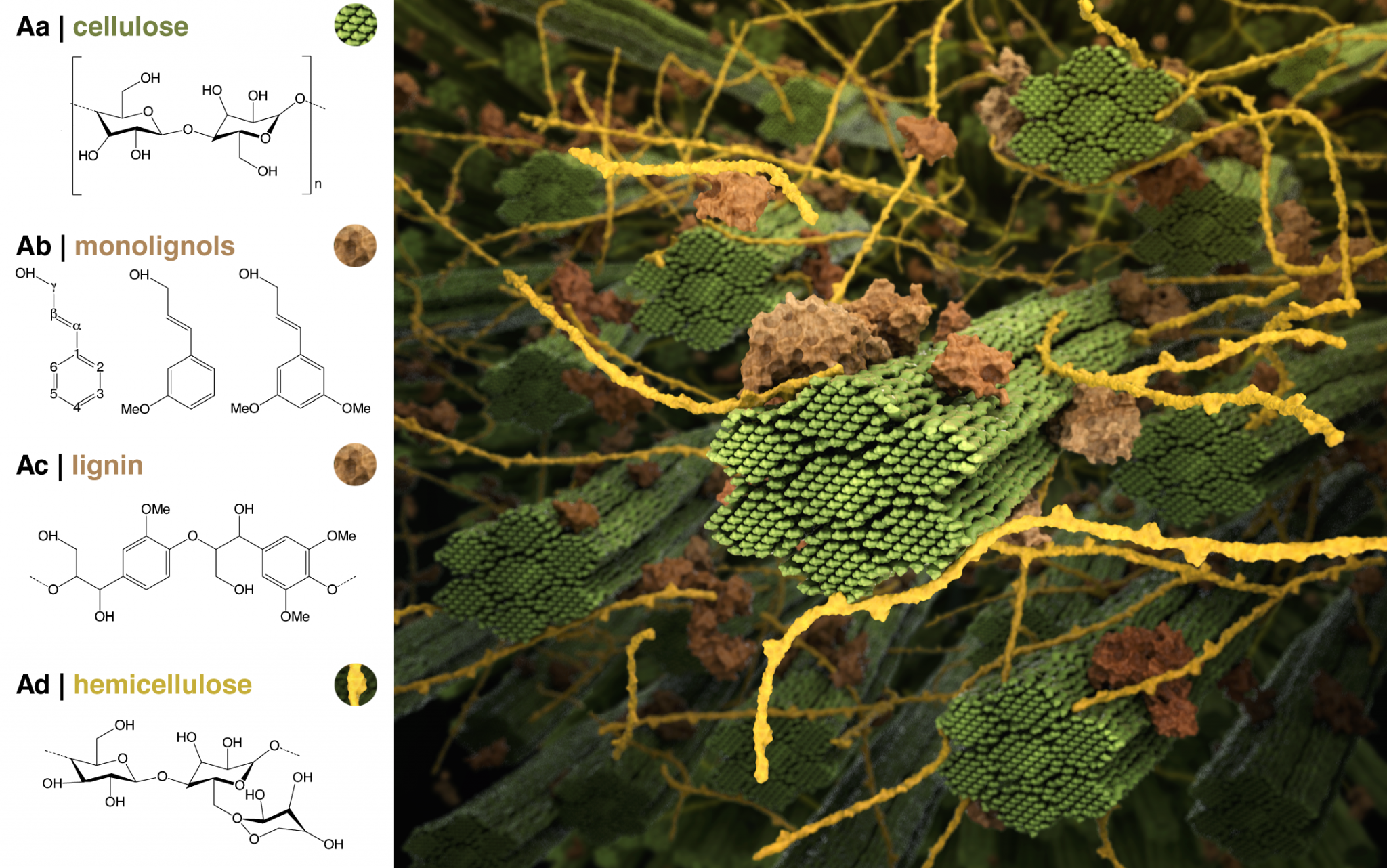 Structure and Dynamics – ORNL – Center for Molecular Biophysics