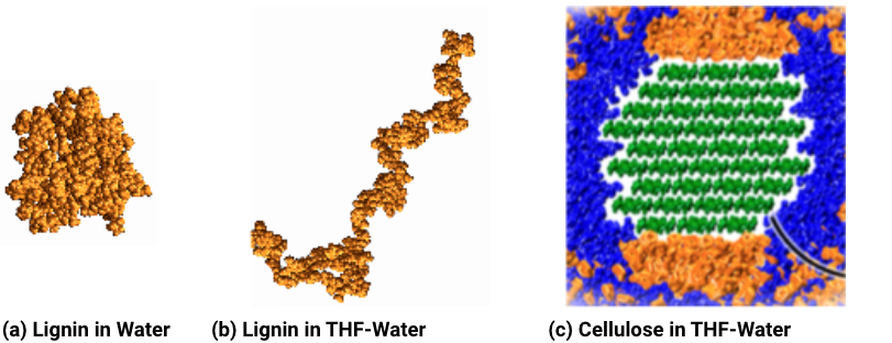 Biomass Solvent Pretreatment – ORNL – Center for Molecular Biophysics